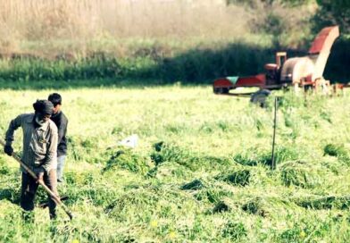 Krishak Jagat | Latest Agriculture News and Updates in Hindi