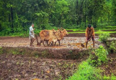 Krishak Jagat | Latest Agriculture News and Updates in Hindi