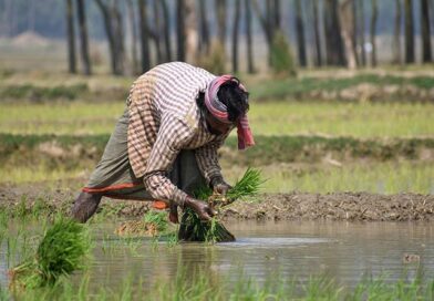 Krishak Jagat | Latest Agriculture News and Updates in Hindi