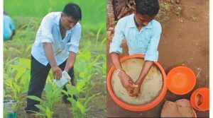 प्राकृतिक खेती